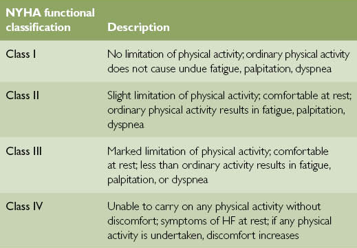 Cardiac System · A Medical Journey